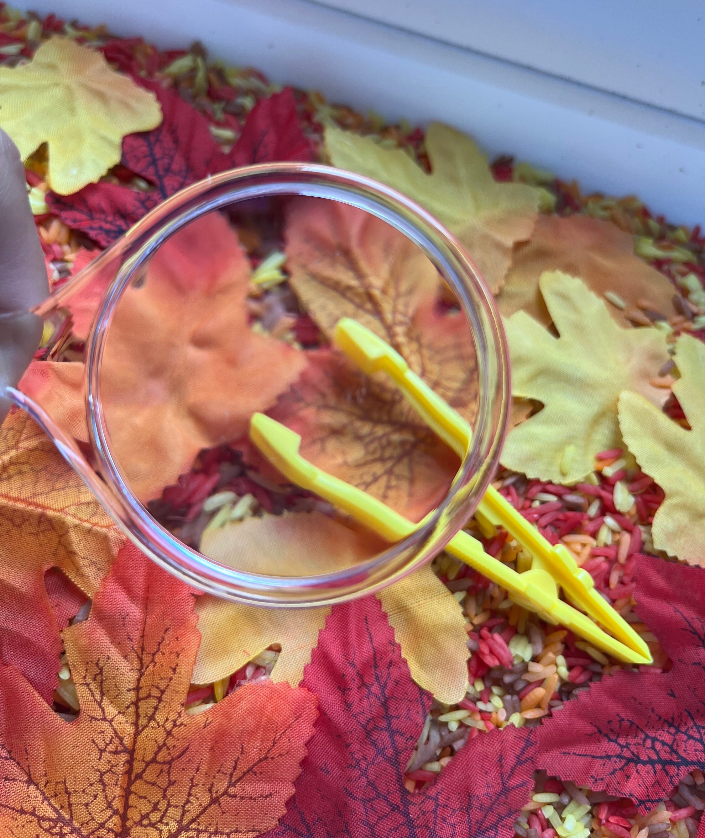 Autumn Discovery Sensory Bin - Etsy