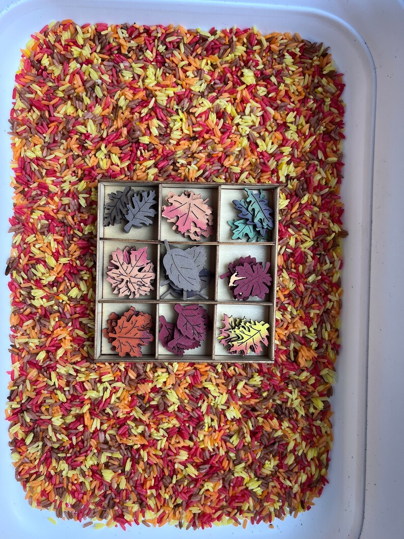 Autumn Matching Sensory Bin - Etsy