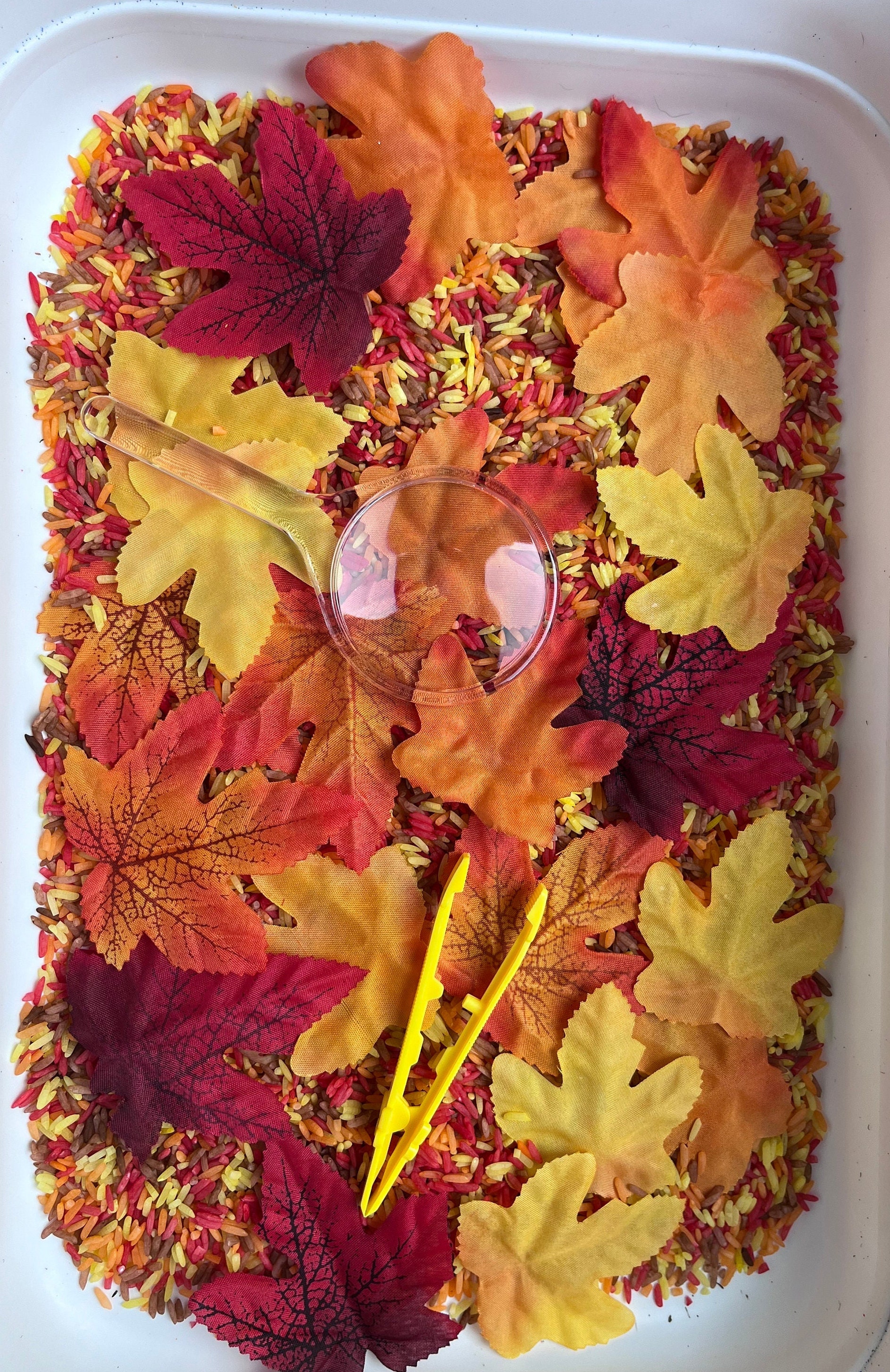 Autumn Discovery Sensory Bin - Etsy