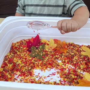Autumn Discovery Sensory Bin - Etsy