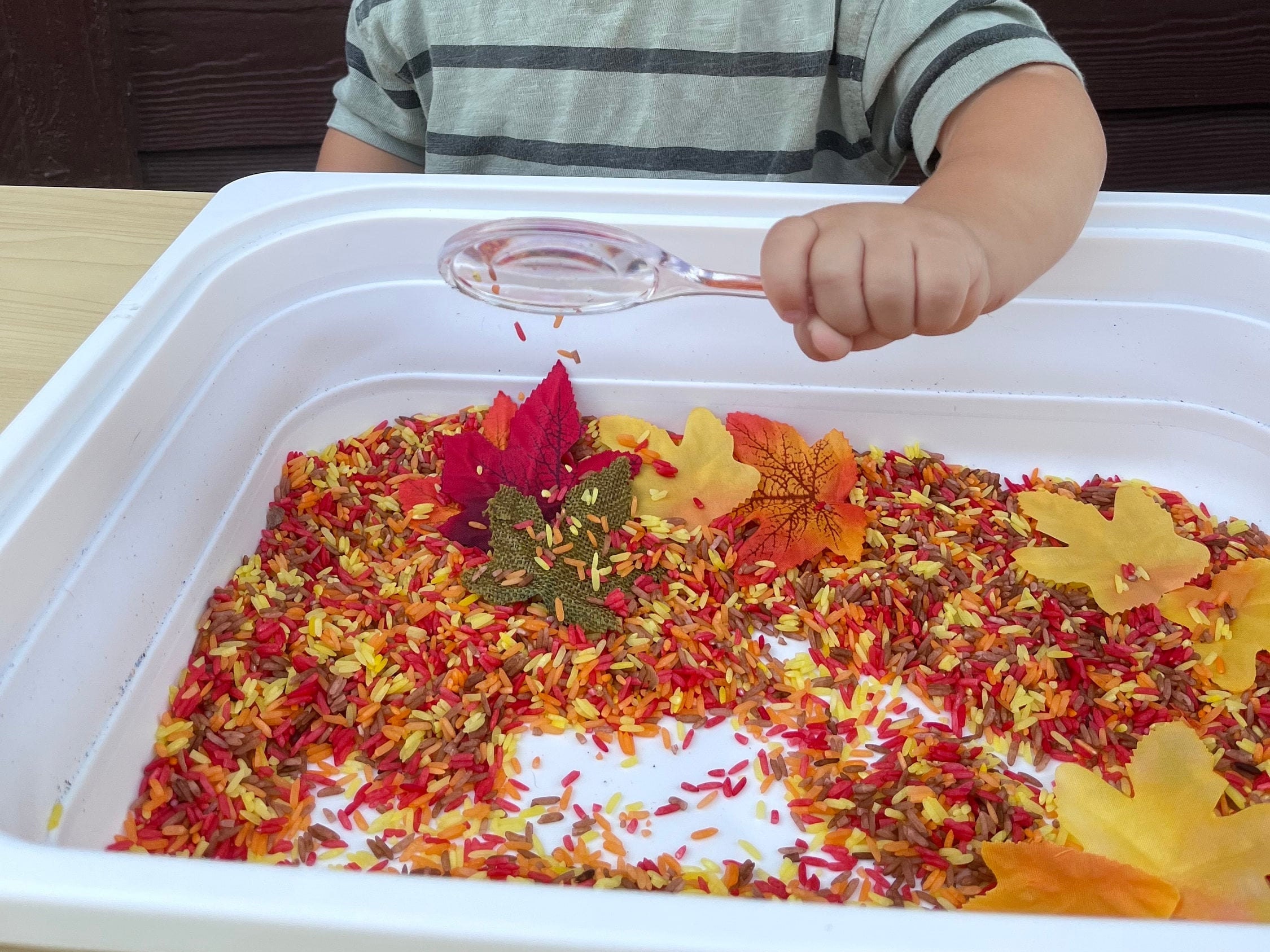 Autumn Discovery Sensory Bin - Etsy