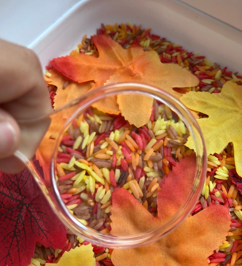 Autumn Discovery Sensory Bin - Etsy