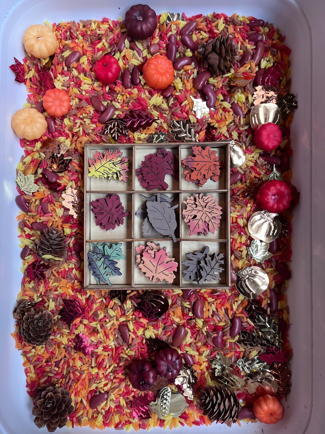 Autumn Matching Sensory Bin - Etsy