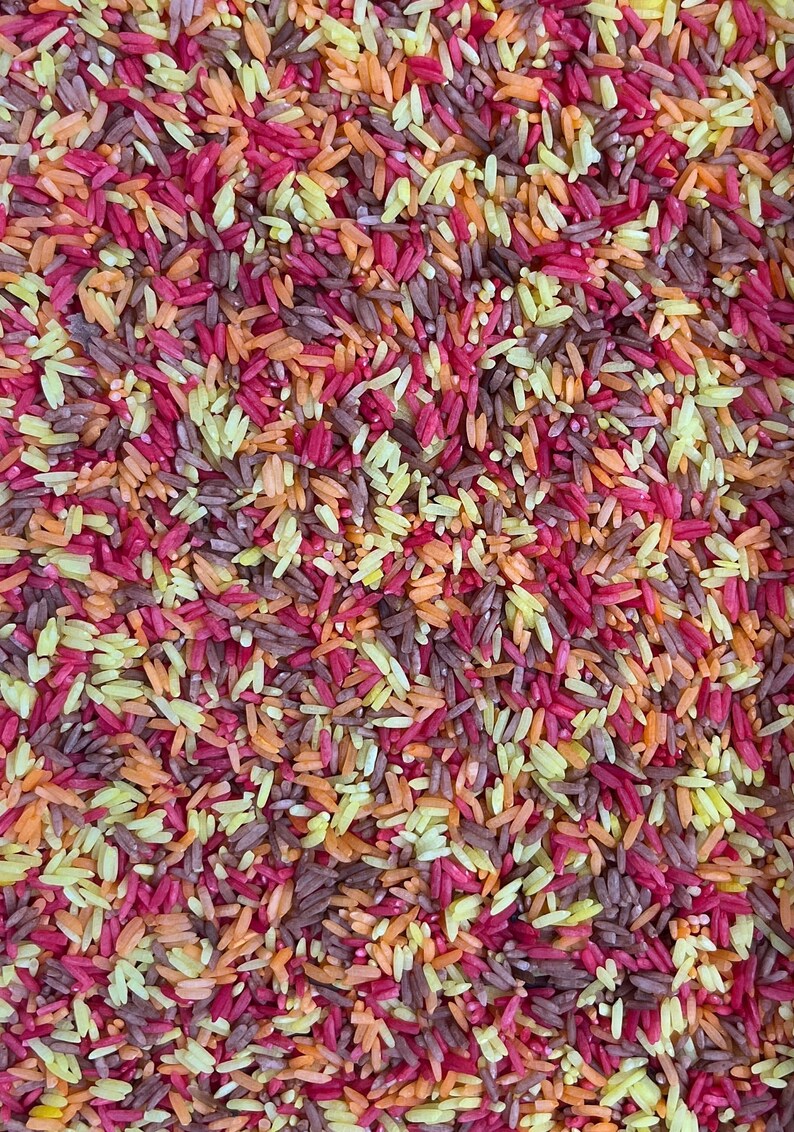 Autumn Discovery Sensory Bin - Etsy