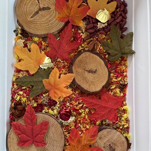 Autumn Discovery Sensory Bin - Etsy