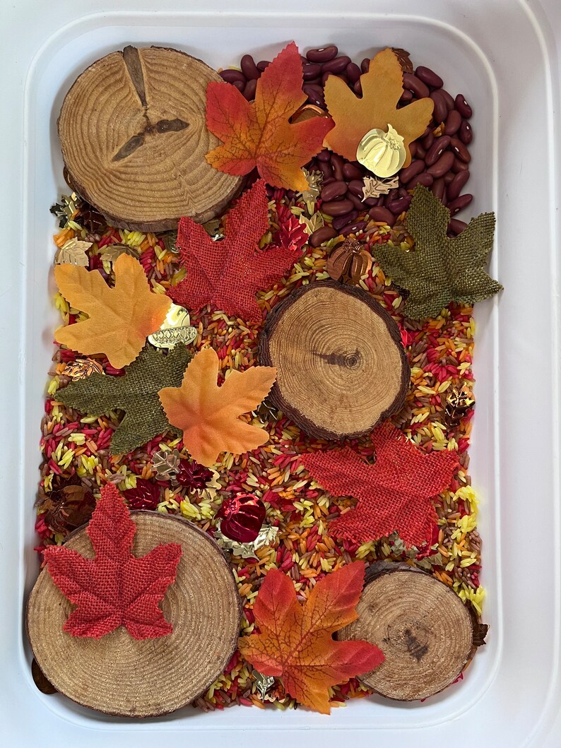 Autumn Discovery Sensory Bin - Etsy