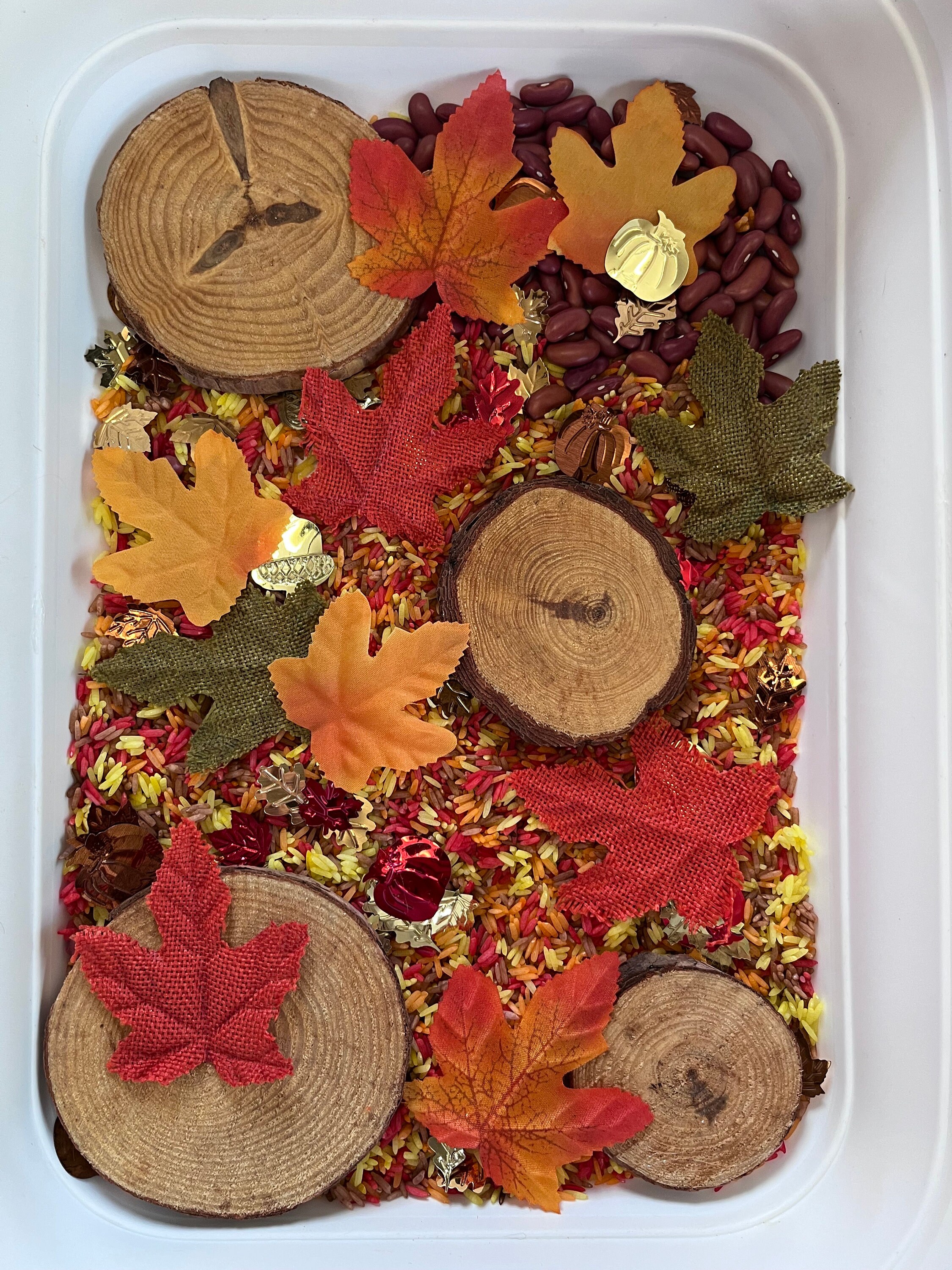 Autumn Discovery Sensory Bin - Etsy