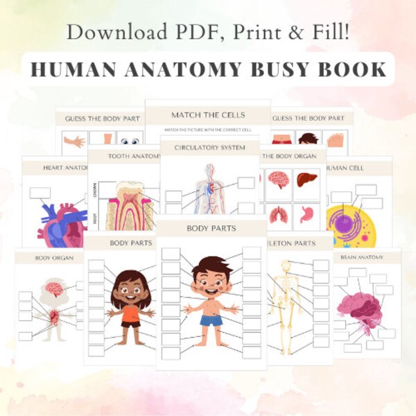 Anatomy Busy Book - Etsy