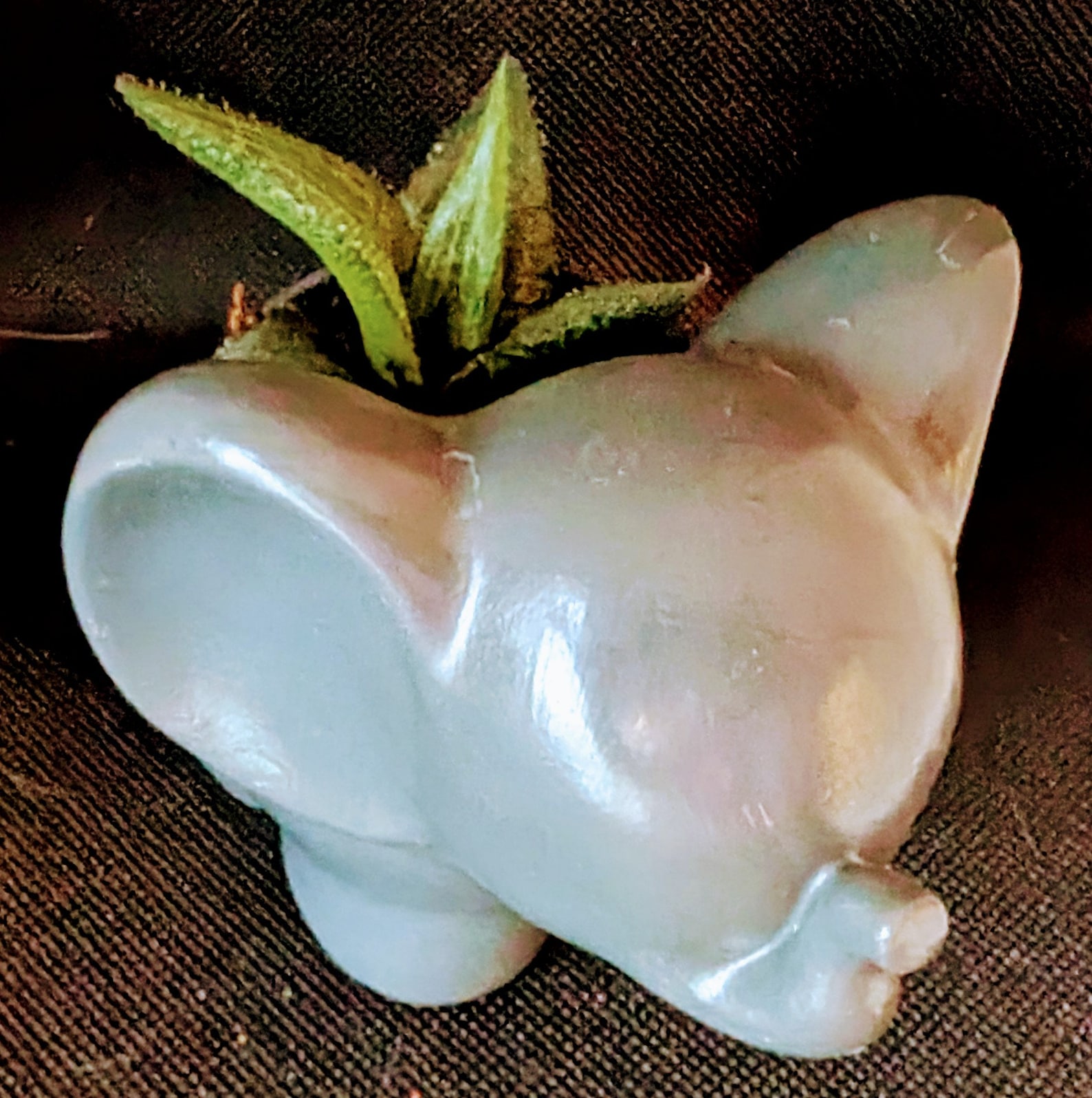 Small Elephant Planter - Etsy