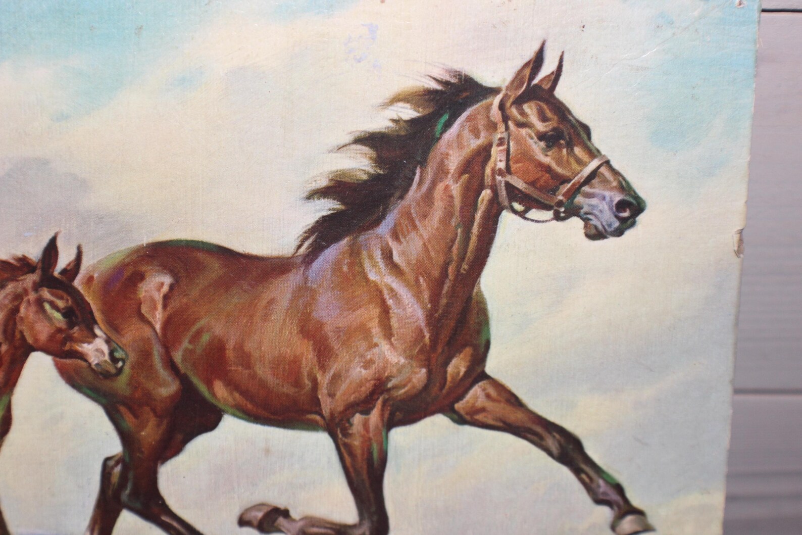 Vintage Galloping Horse and Foal Print by Elmore Brown. Lithograph in ...