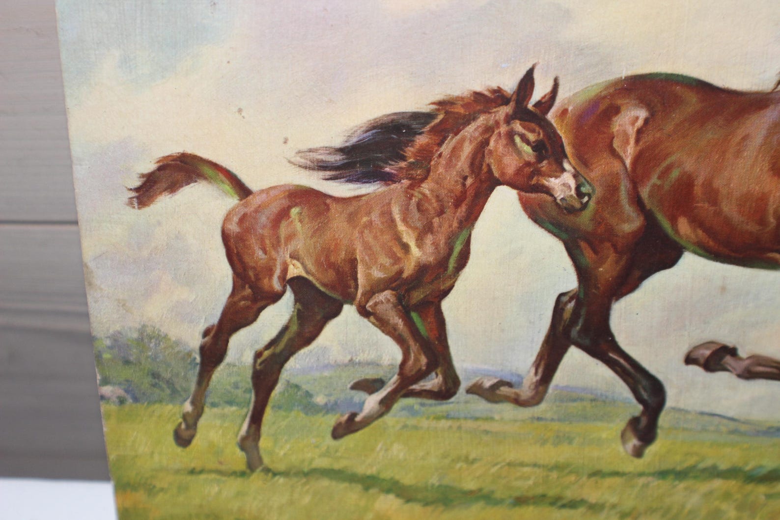 Vintage Galloping Horse and Foal Print by Elmore Brown. Lithograph in ...