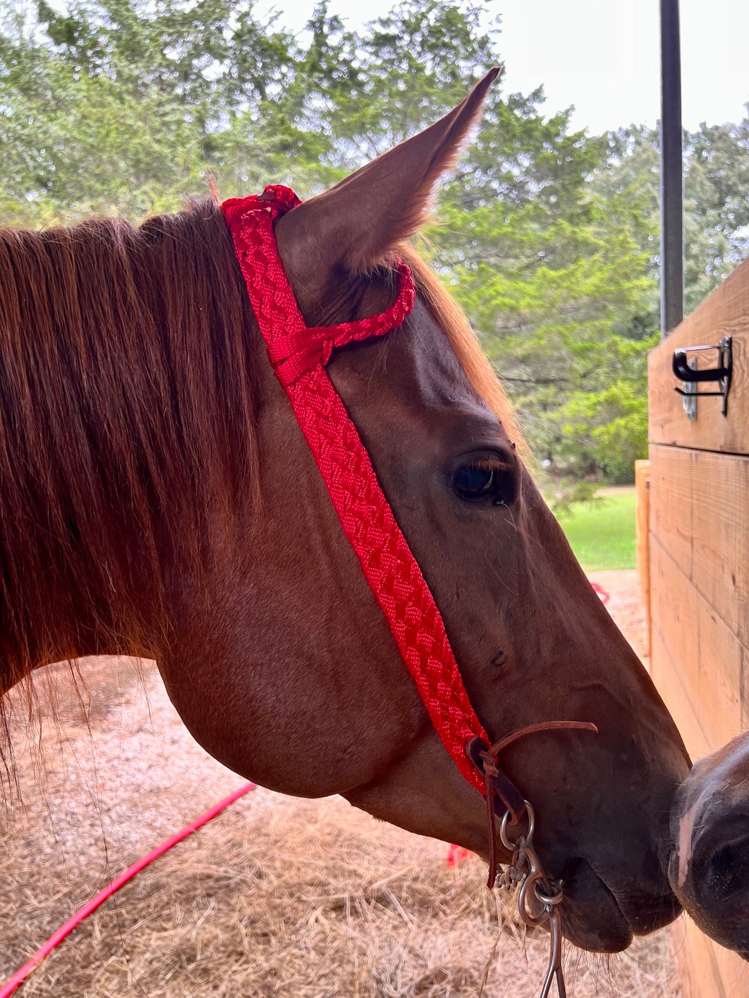 Mule Tape Adjustable One Ear Headstall With Leather Tie Straps - Etsy