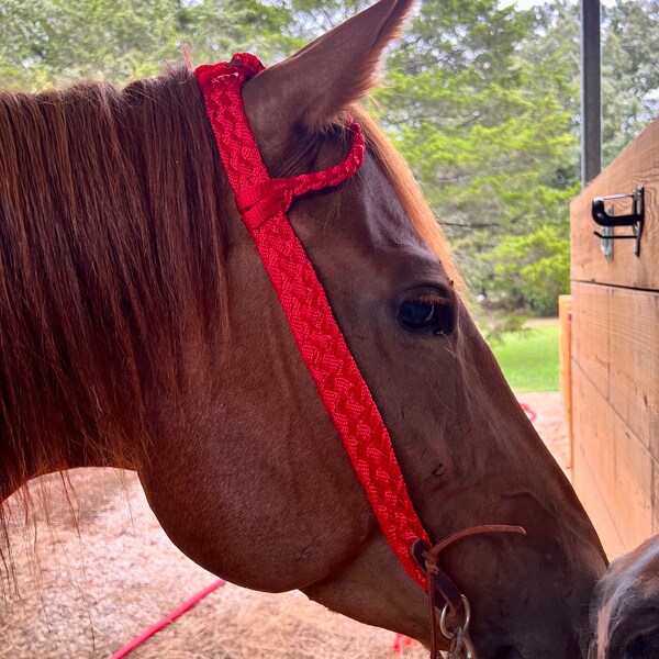 One Ear Bridle - Etsy