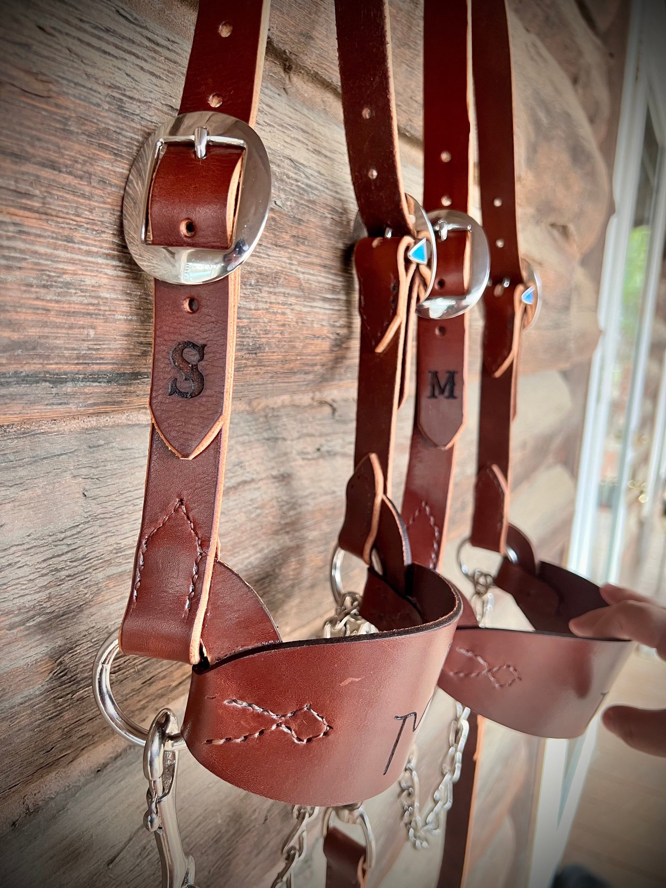 All Leather Cattle Show Halter - Etsy