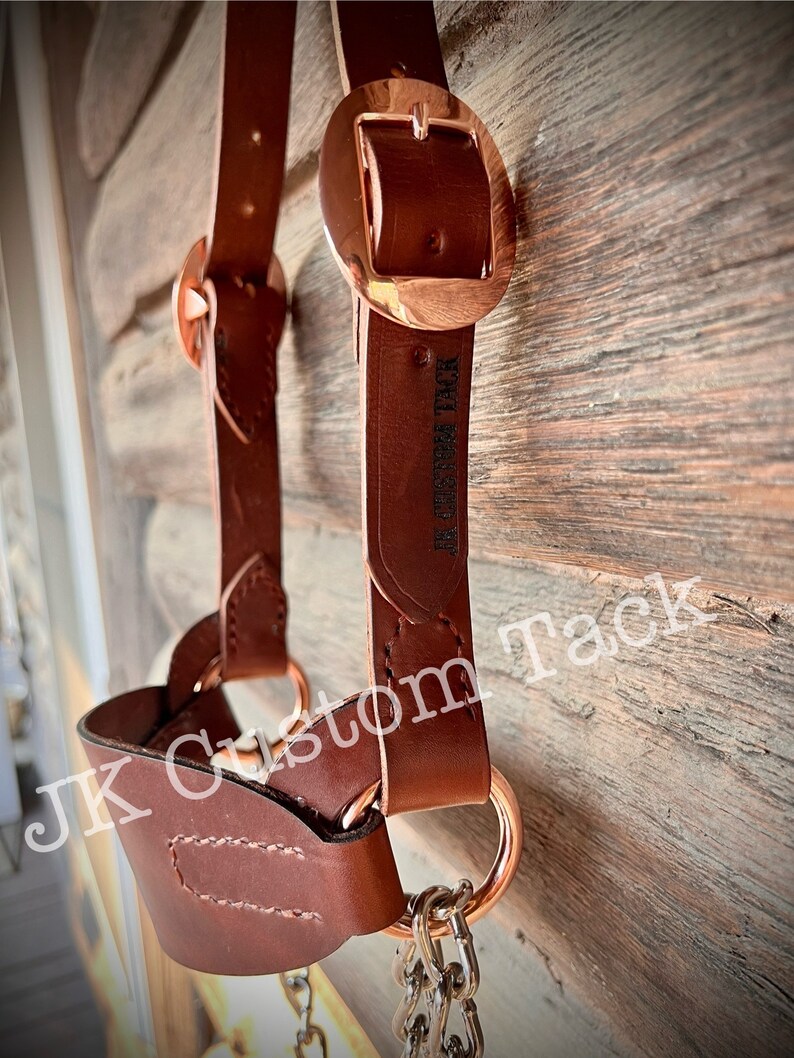 All Leather Cattle Show Halter With Copper Plated Hardware Size Small ...