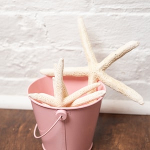 6 Pcs Pink Bucket, Party Favors, Flower Container, Center Piece - Etsy