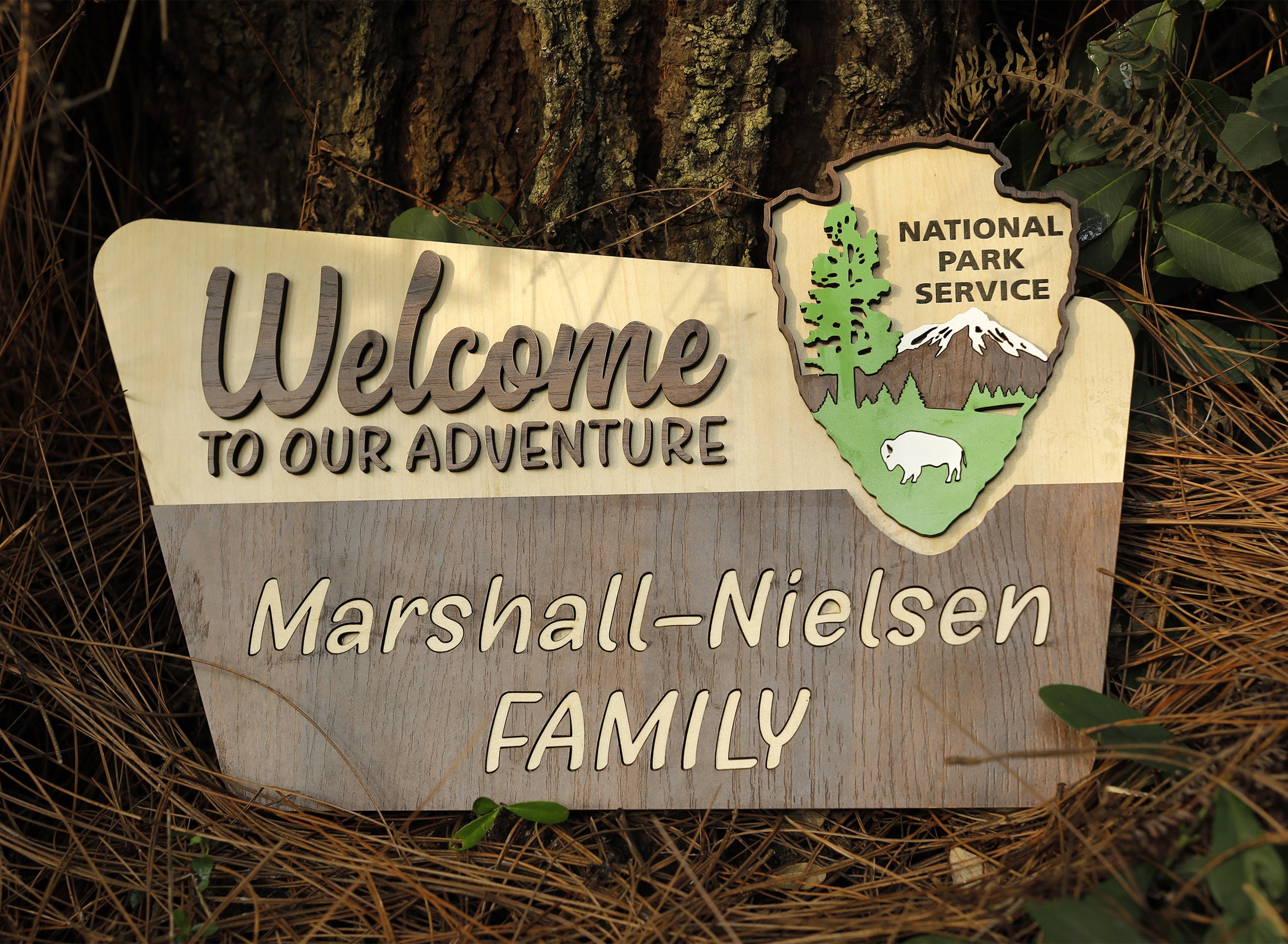 National Park Service Welcome Sign NPS Inspired Family Name - Etsy