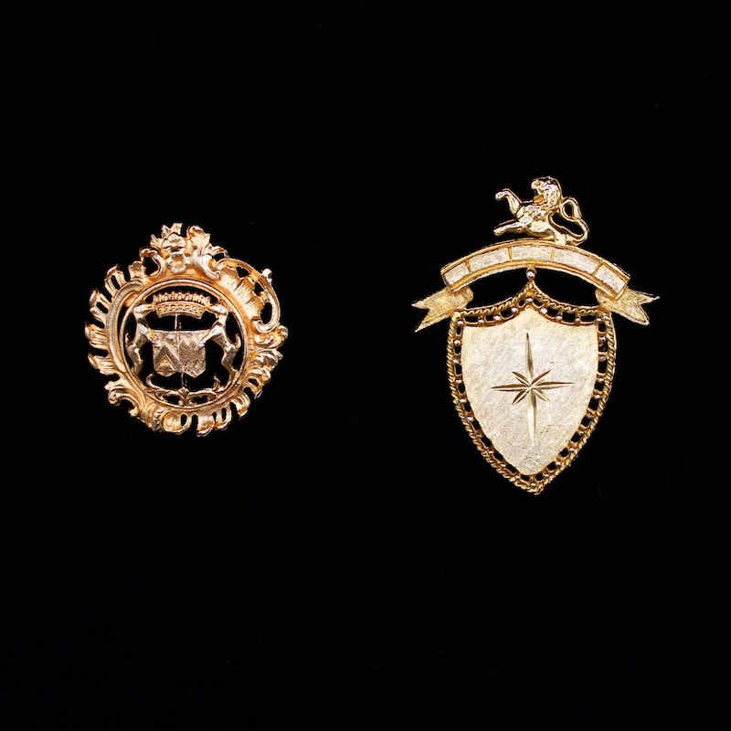 Lion Crest Brooch - Etsy