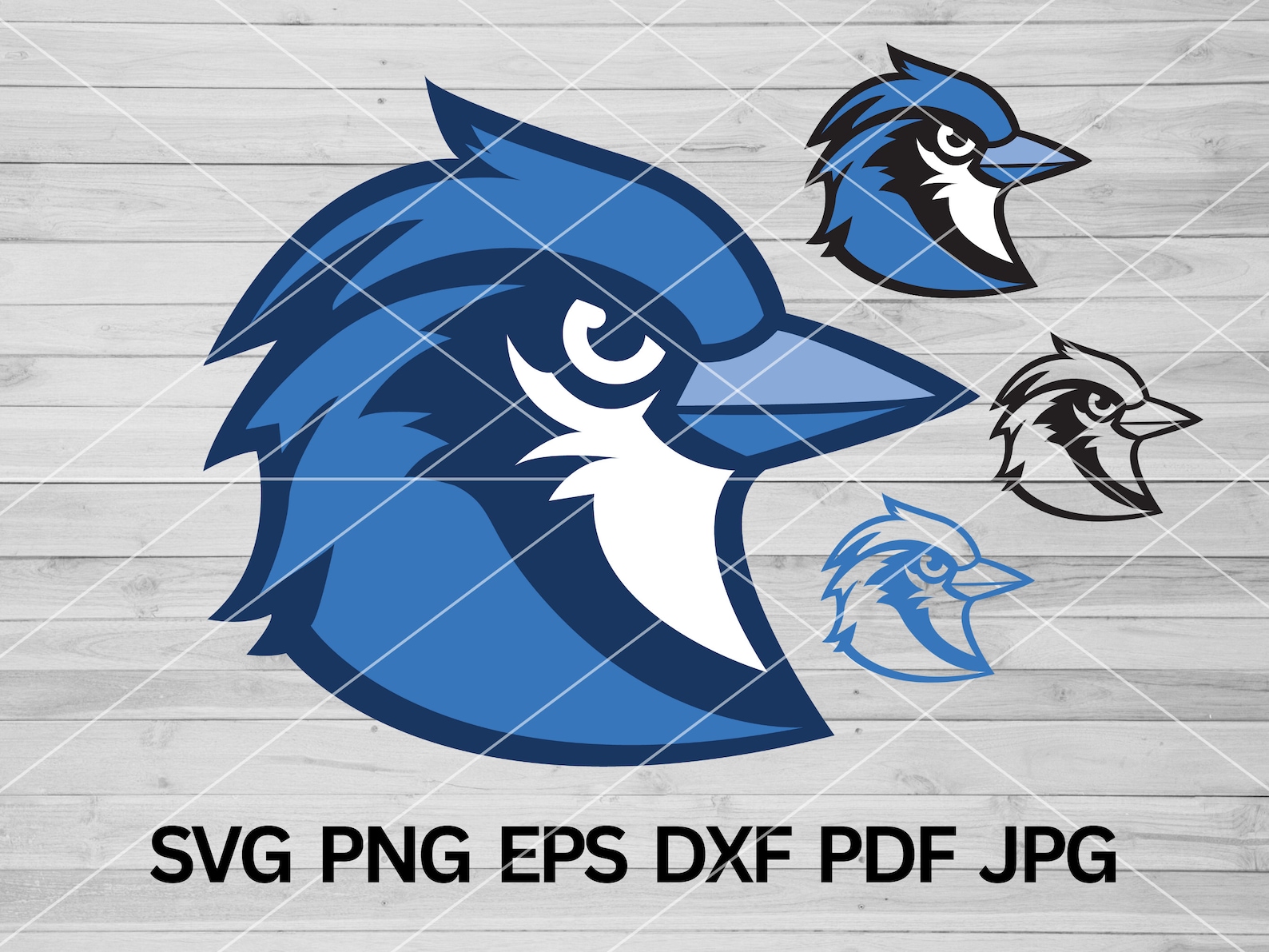 Blue Jay Svg, Blue Jays Svg, Blue-jay, Bluejay Mascot Svg, Bluejays ...