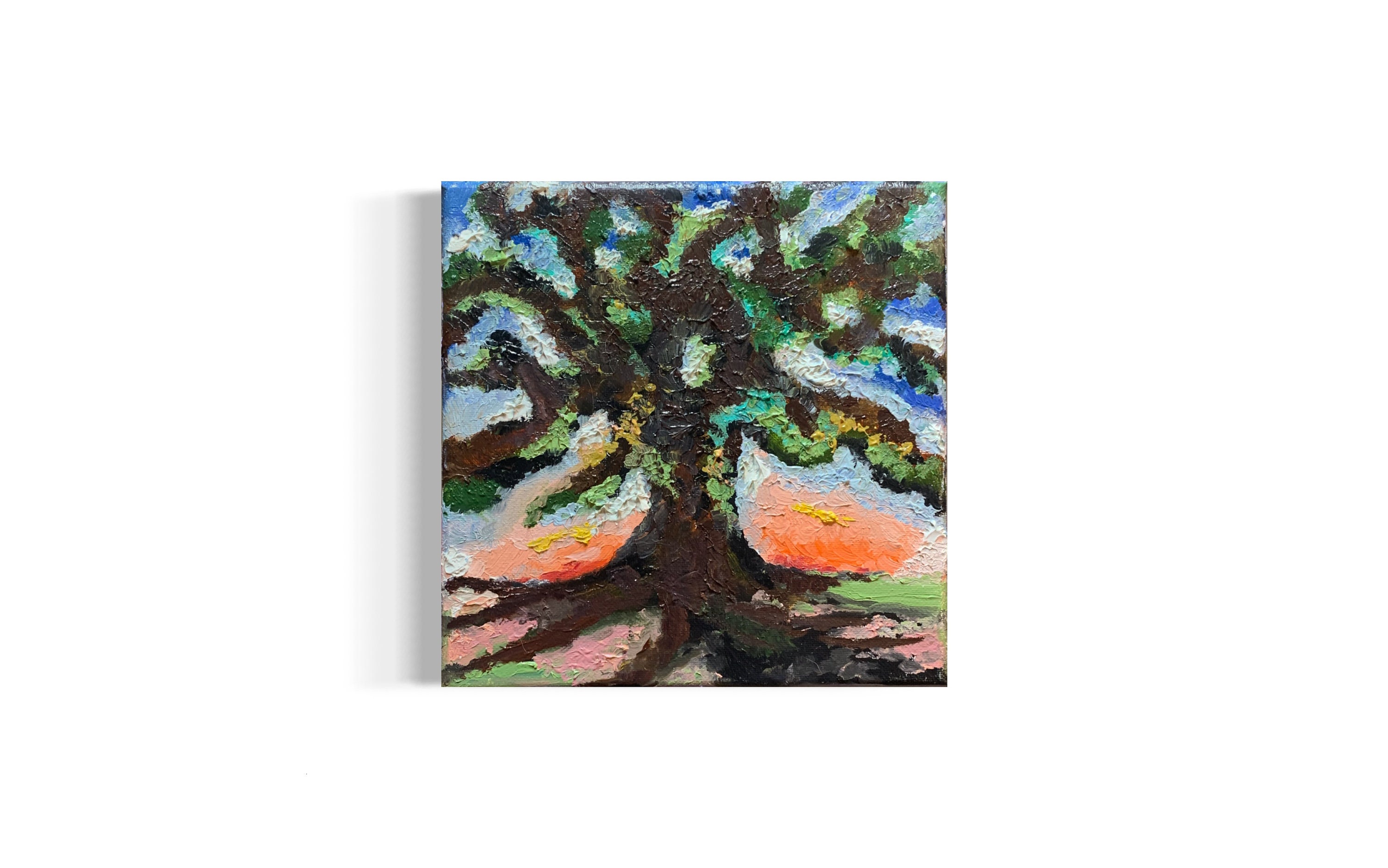 Florida Trees (8x8" Oil Painting) - Etsy