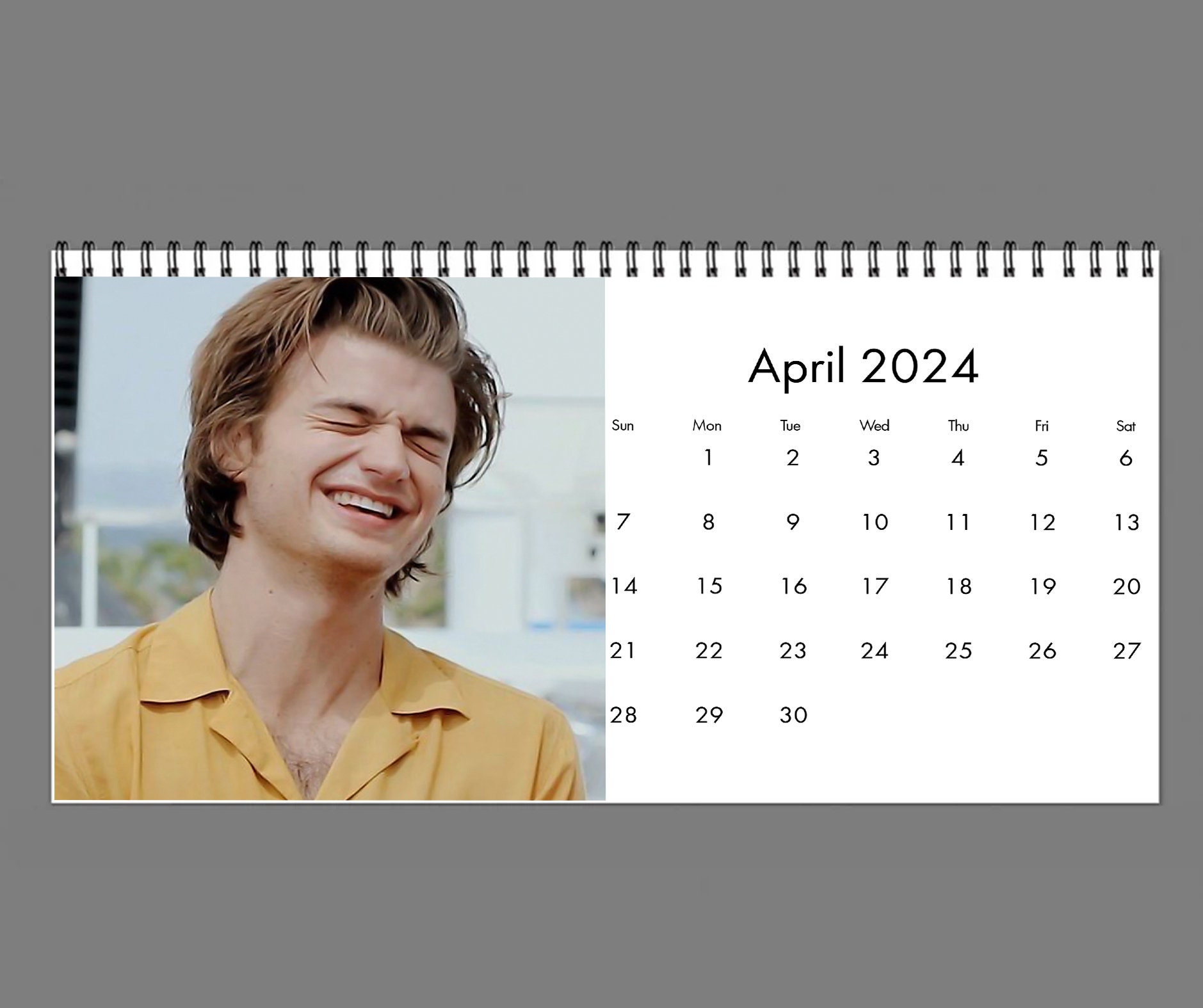 2024 Steve Harrington Calendar, 2024 Desk Calendar, Celebrity Calendar ...