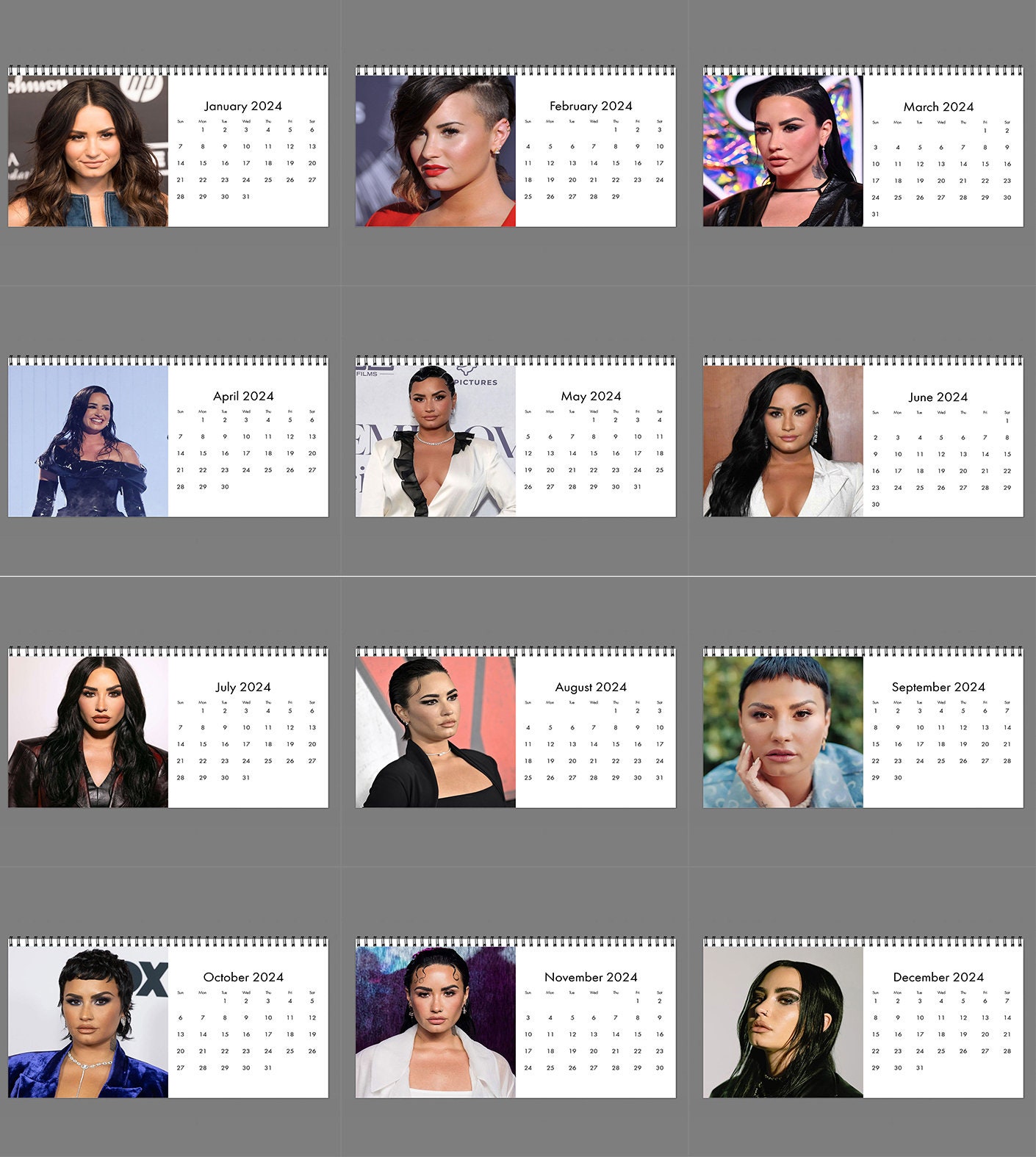 2024 Demi Lovato Calendar, 2024 Desk Calendar, Celebrity Calendar sold ...