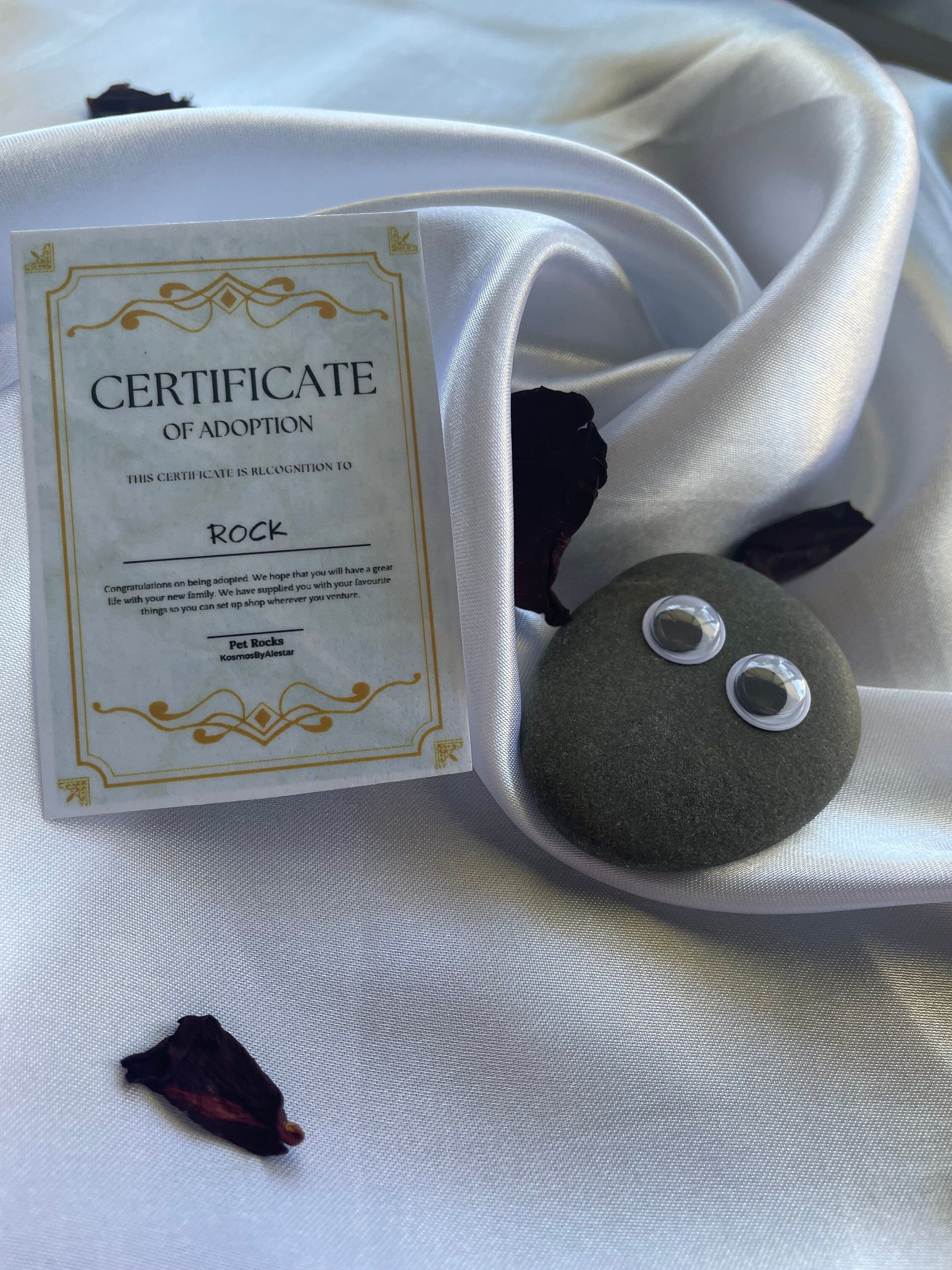 Pet Rock Certificate