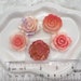 New Beautiful Luminous Pink Rose & Flower Magnets set of 5 / Flower ...