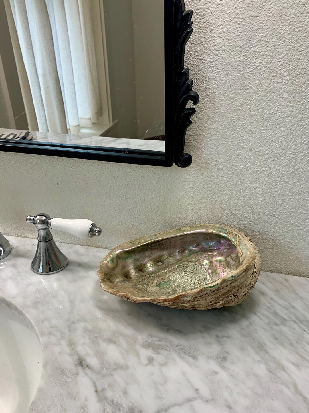 Albacore Shell Soap Dish Beach Home Decor Natural Decor Bathroom Decor ...