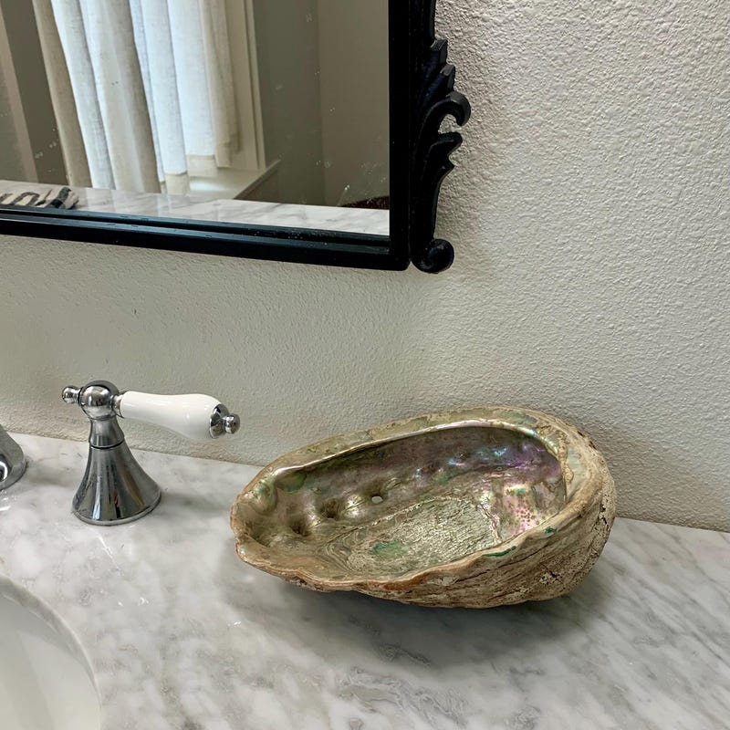 Shell Soap Dish - Etsy
