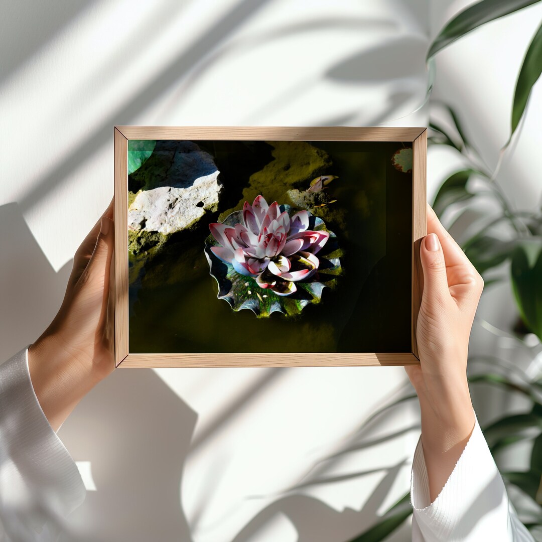 Lotus Flower Print, Lotus Photography, Flower Digital Print, Floral ...