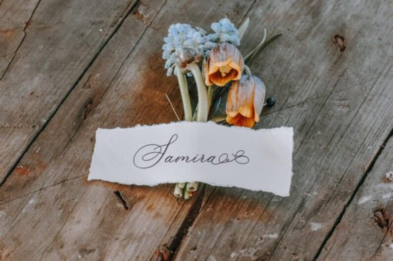Signature Font, Wedding Font, Calligraphy Font, Script Font, Modern ...