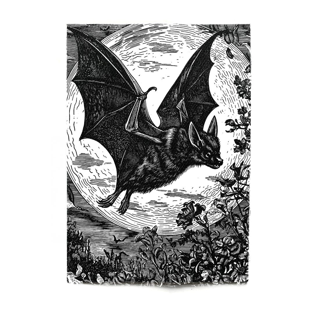 Medieval Bat Sew on Back Patch – Trippy, Goth, Crust Punk, Weirdcore ...