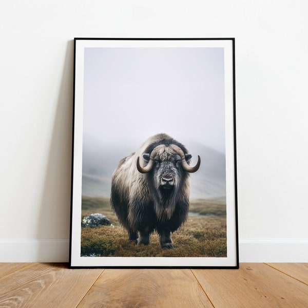 Ox Wall Art - Etsy