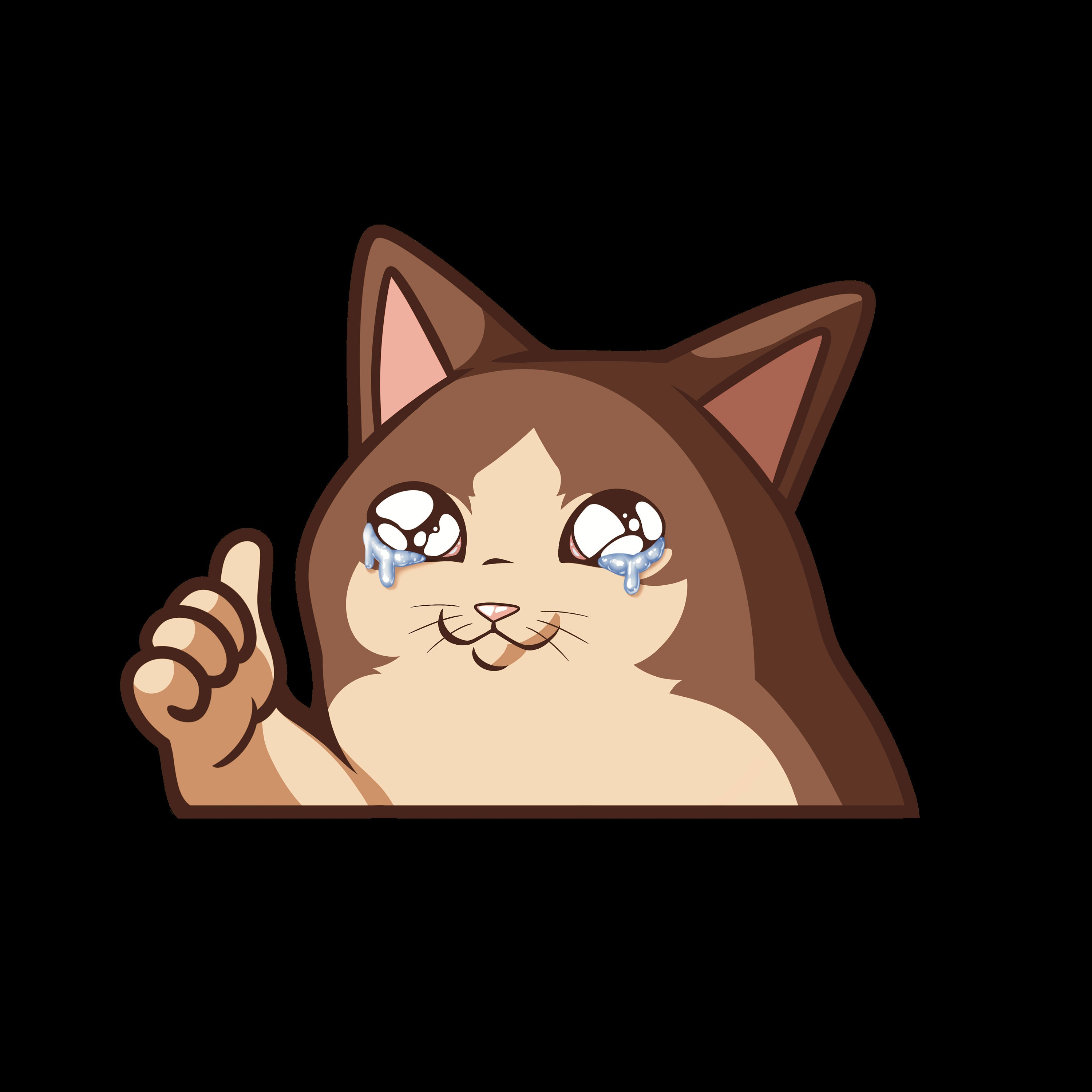 Crying Thumbs Up Cat Meme Sticker Etsy