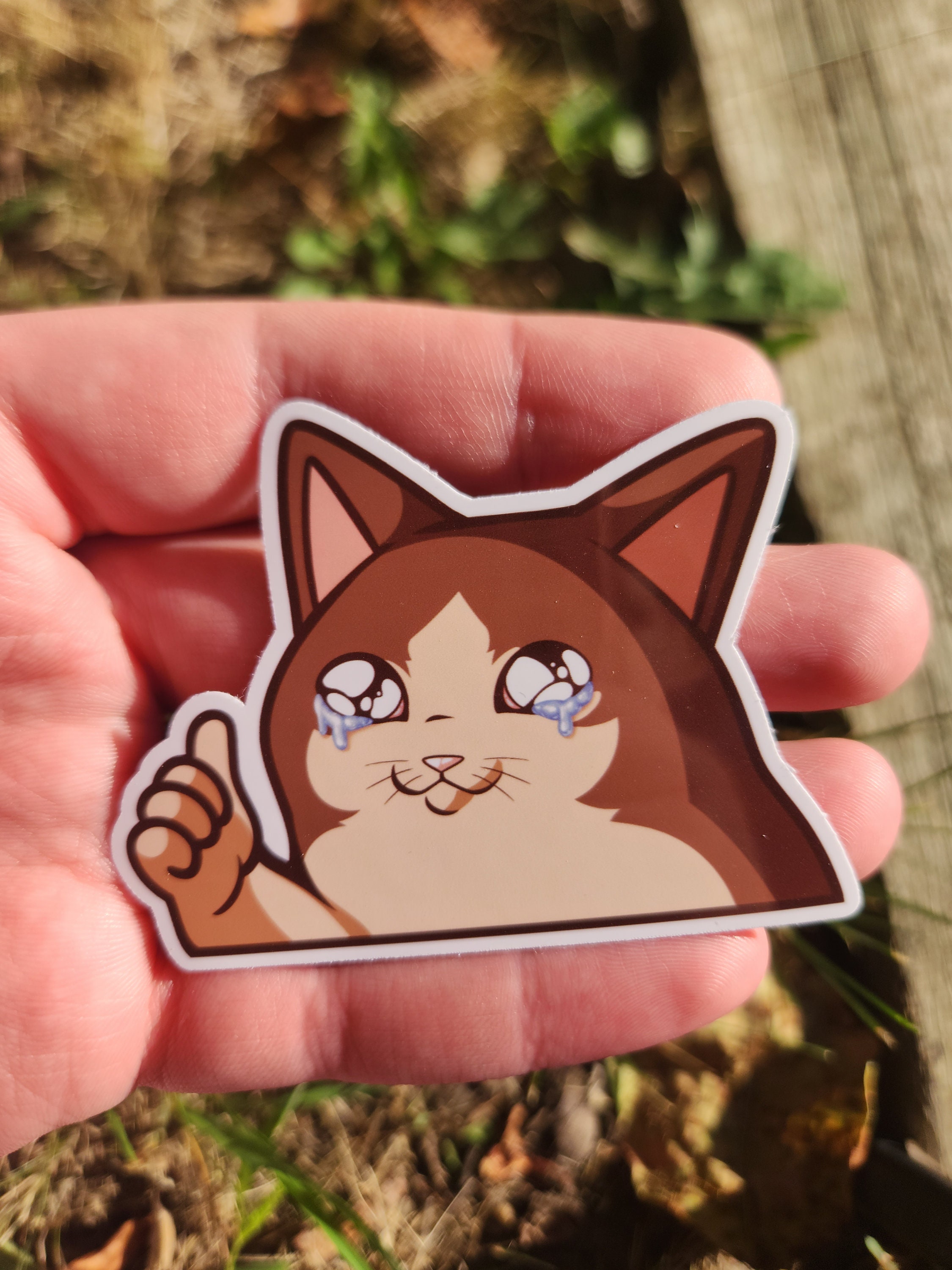Crying Thumbs Up Cat Meme Sticker Etsy