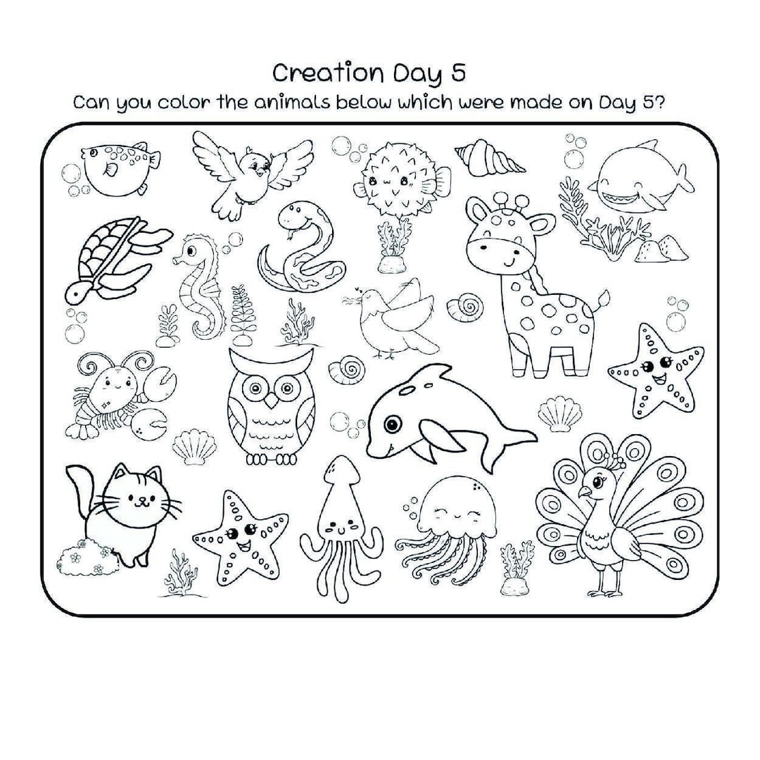 Day Five Creation Coloring Page: Bible Animal Craft (PDF Download A4/8 ...