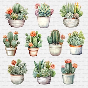 Watercolor Cactus Pot PNG Clipart Bundle, Watercolor Succulent PNG ...