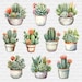 Watercolor Cactus Pot PNG Clipart Bundle, Watercolor Succulent PNG ...