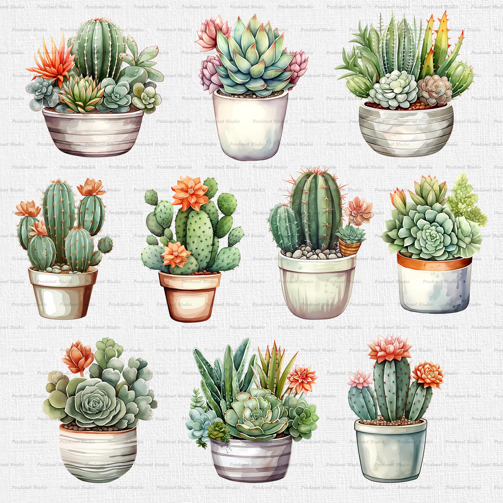 Watercolor Cactus Pot PNG Clipart Bundle, Watercolor Succulent PNG ...