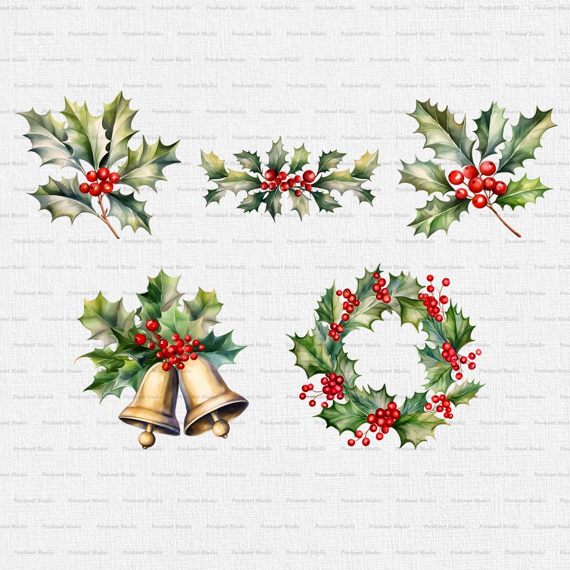 Watercolor Christmas Holly PNG Clipart Bundle, Holly Wreath PNG ...