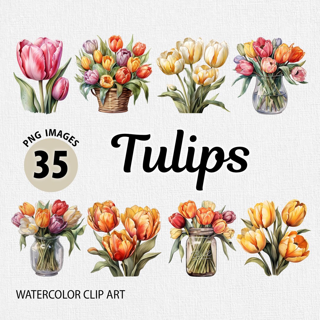 Watercolor Tulip PNG Clipart Bundle, Tulip Clipart, Floral Clipart ...