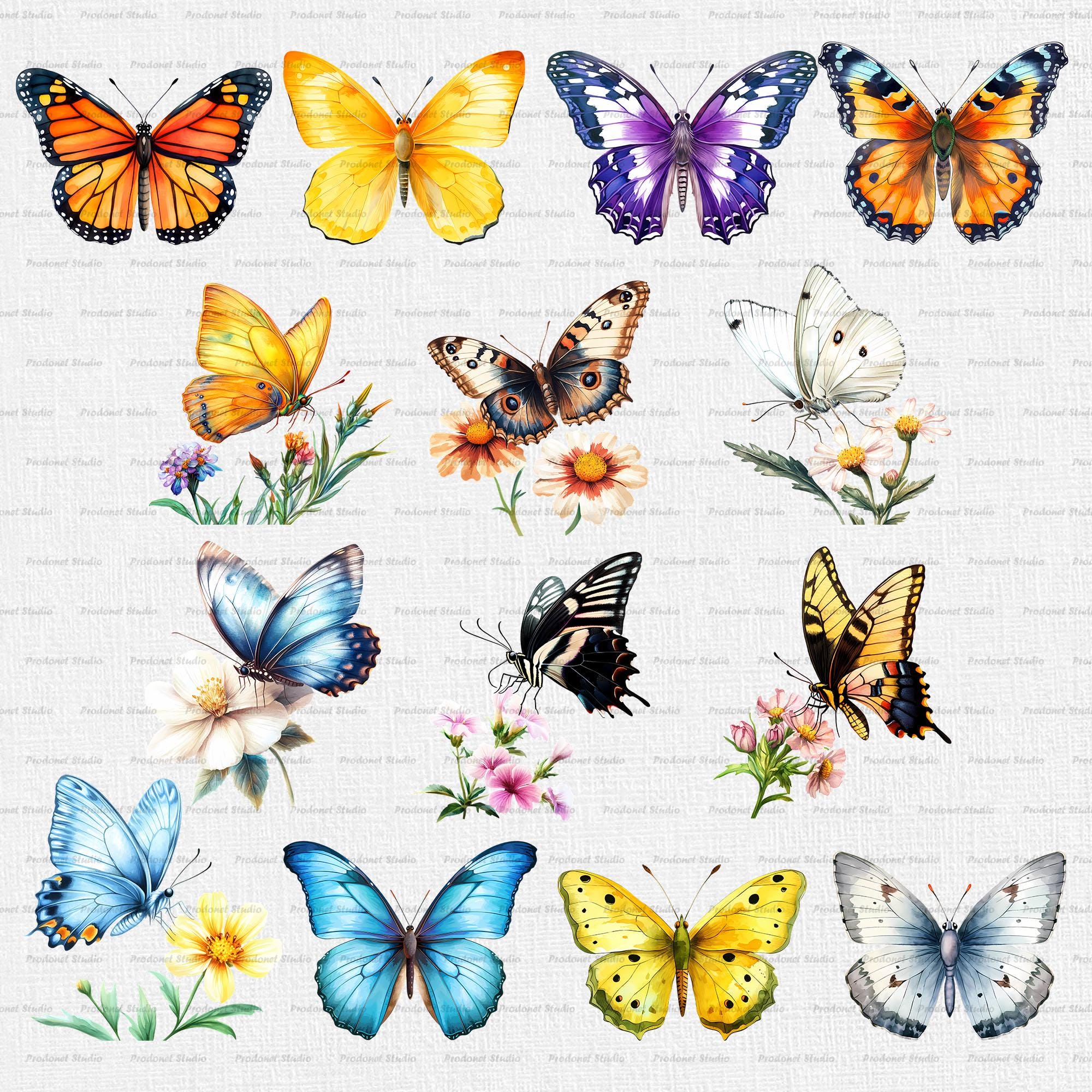 Watercolor Butterfly PNG Clipart Bundle #1, Colorful Butterfly Clipart ...