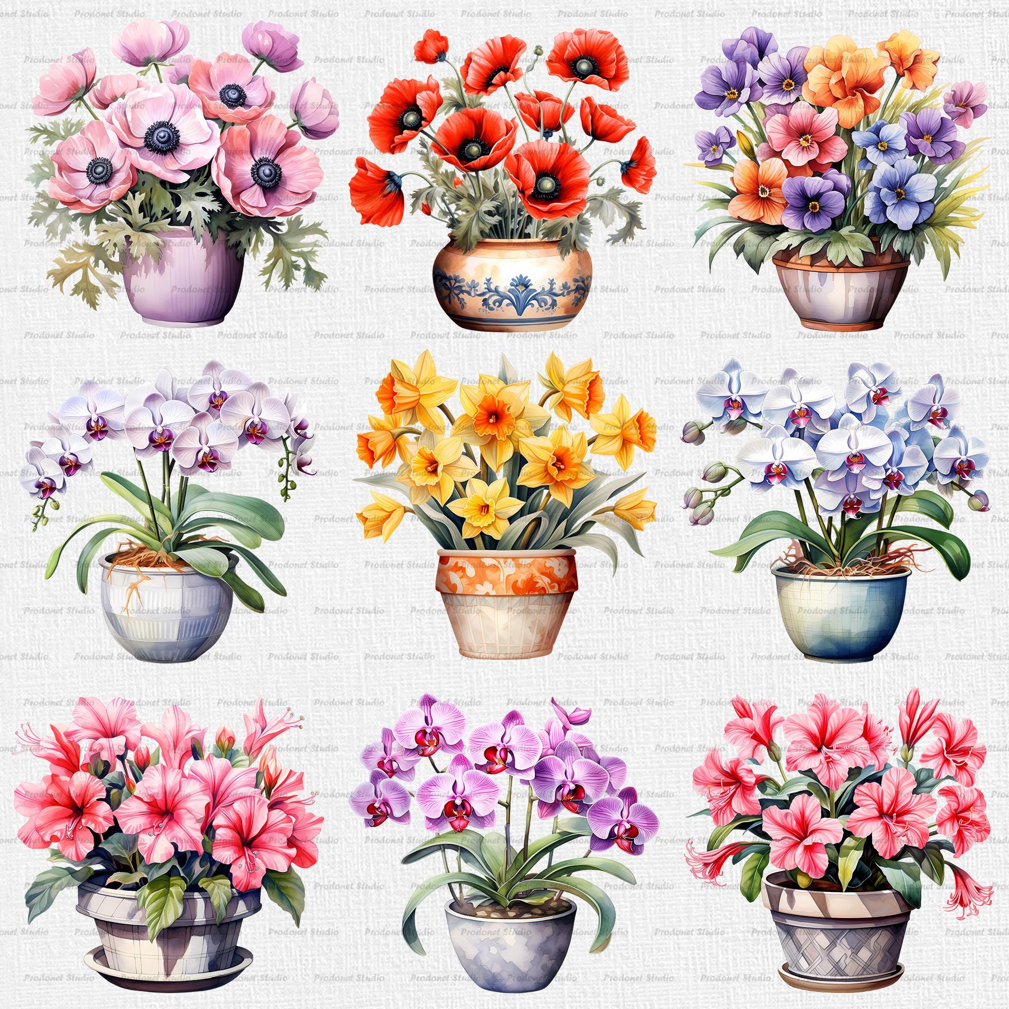 Watercolor Flower Pots PNG Clipart Bundle, Plant Pot, Floral Clipart ...