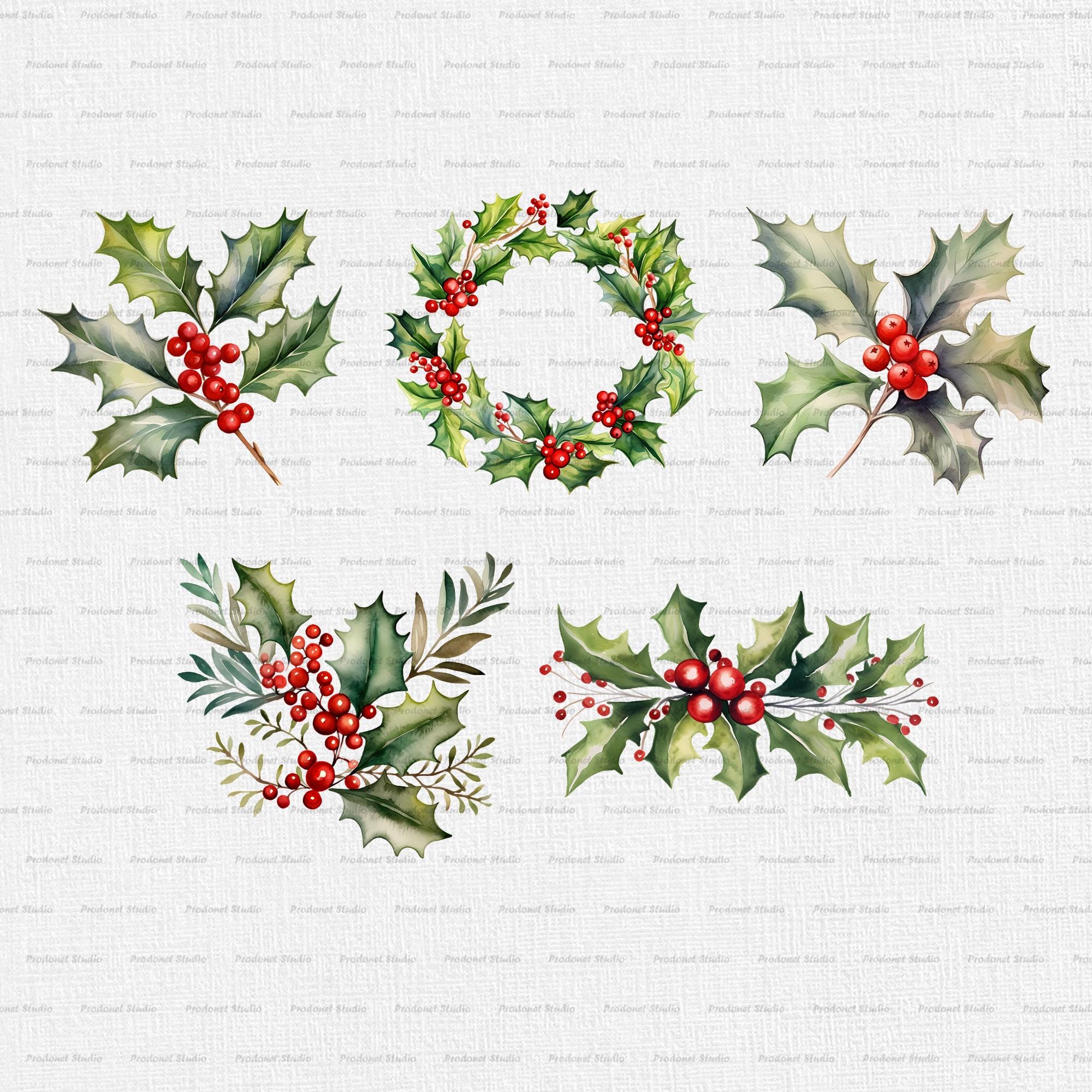 Watercolor Christmas Holly PNG Clipart Bundle, Holly Wreath PNG ...