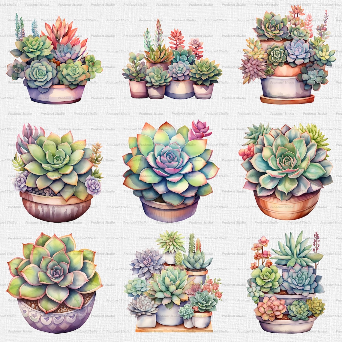 Watercolor Succulent PNG Clipart Bundle, Succulent Clipart Bundle ...