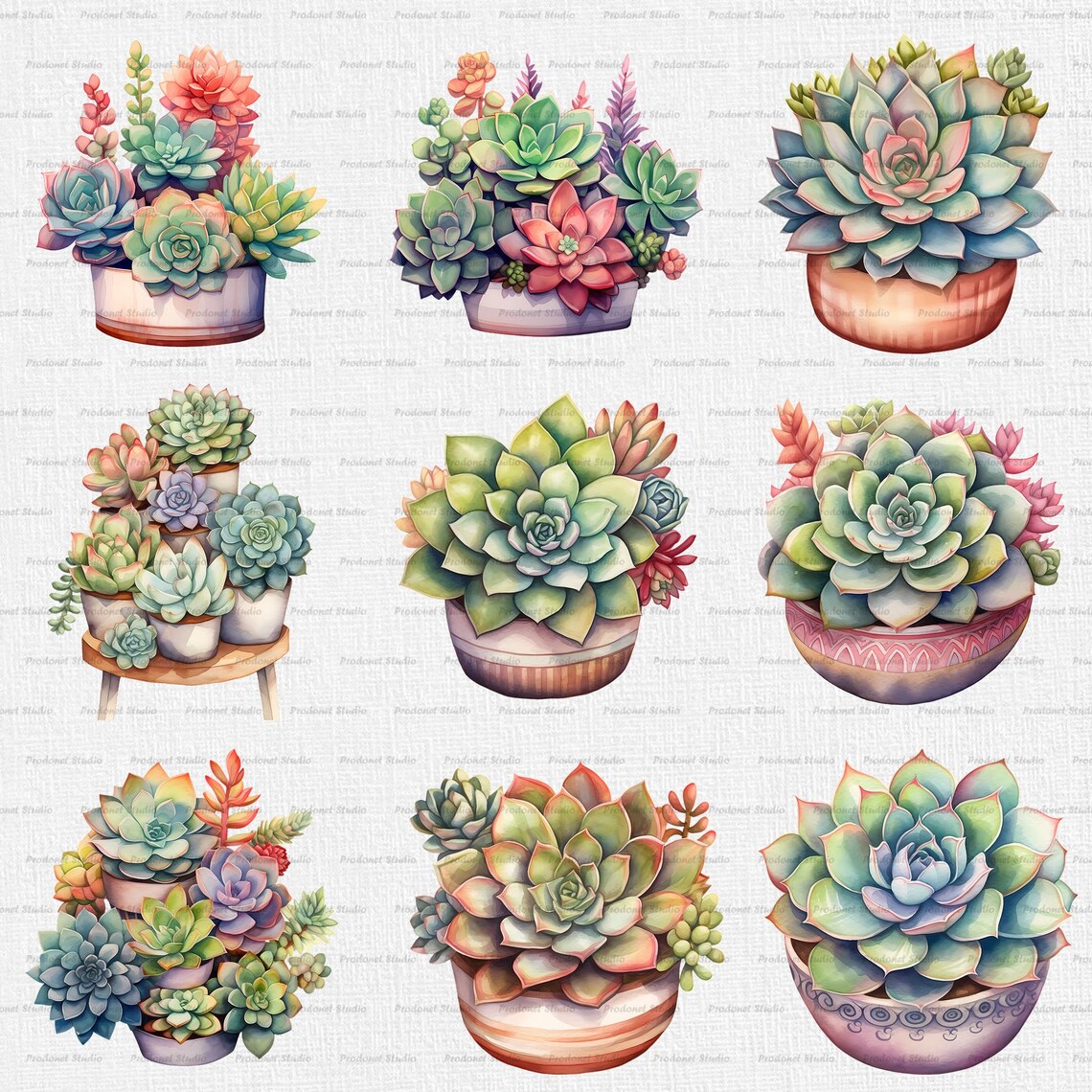 Watercolor Succulent PNG Clipart Bundle, Succulent Clipart Bundle ...