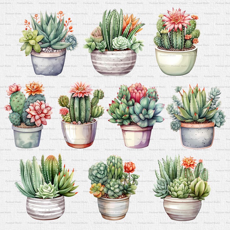 Watercolor Cactus Pot PNG Clipart Bundle, Watercolor Succulent PNG ...