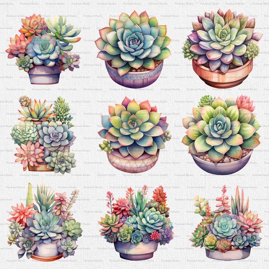 Watercolor Succulent PNG Clipart Bundle, Succulent Clipart Bundle ...