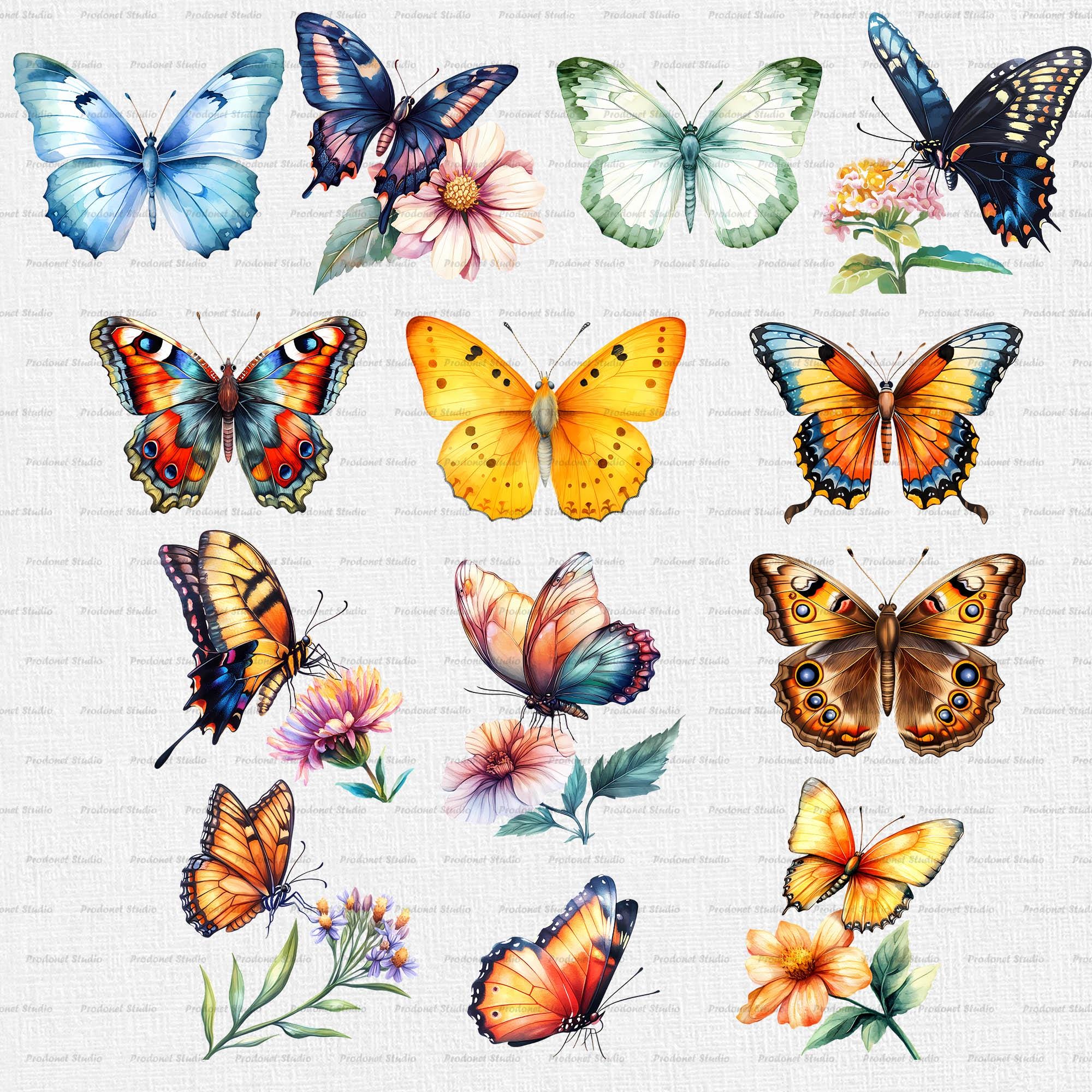 Watercolor Butterfly PNG Clipart Bundle #2, Colorful Butterfly Clipart ...
